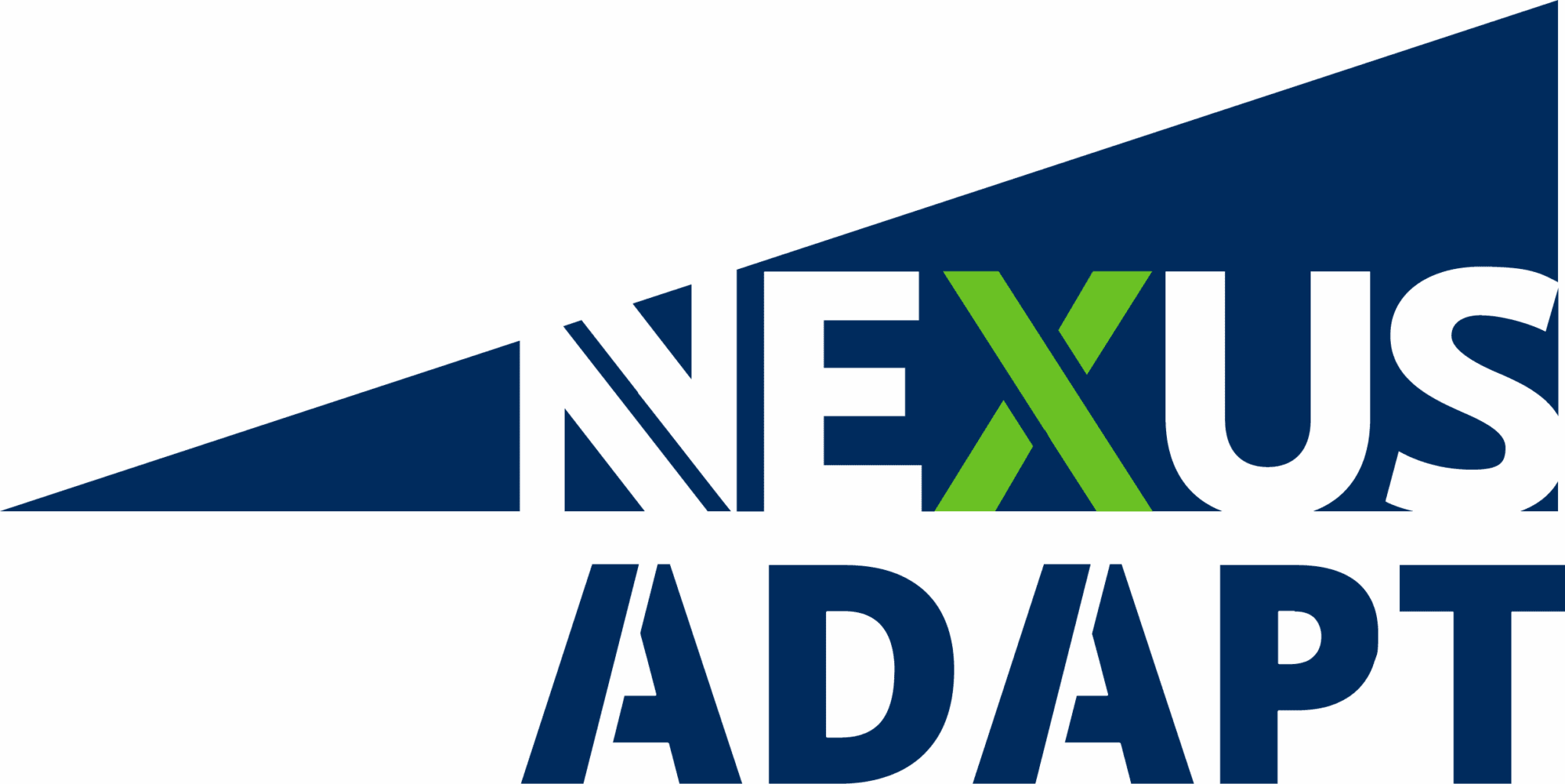Nexus Adapt | Expert Accessibility & Adaptation Solutions